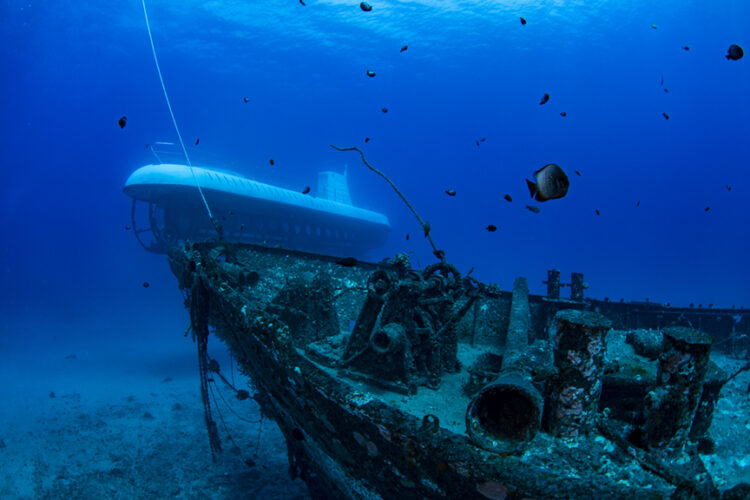 Atlantis Submarines resumes Lahaina Harbor tours | News, Sports, Jobs ...